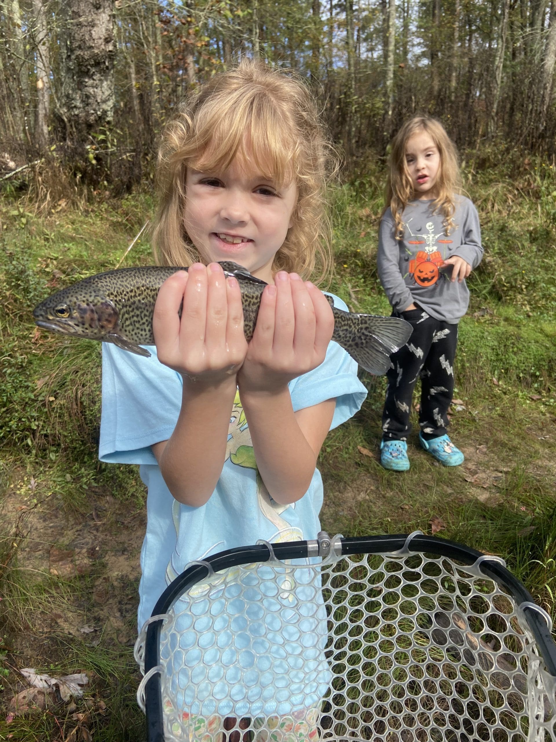 Best Time To Fly Fish In Arkansas (Month-by-Month Guide)
